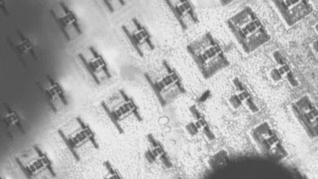 Microscopic Robots: MedTech's Next Step? | Dogtown Media