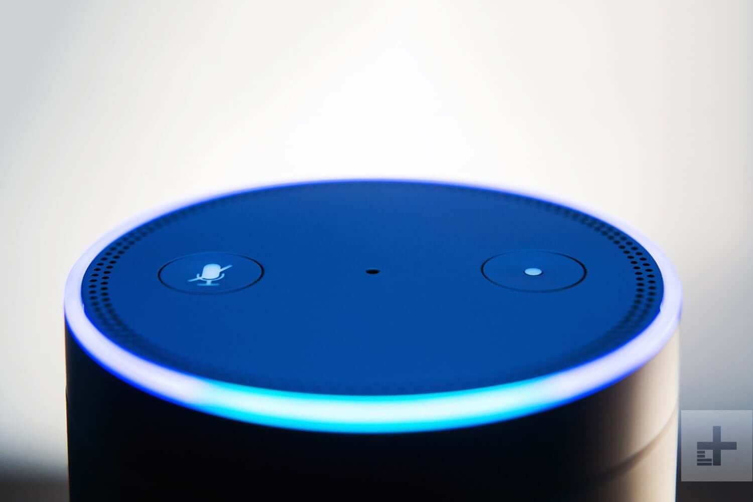 Anyone Can Create Alexa Commands Now | Dogtown Media