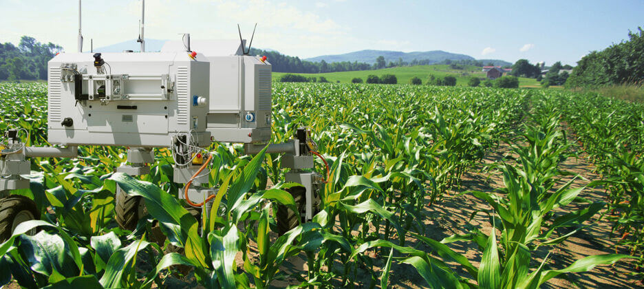 4 Ways IoT Is Transforming Agriculture | Dogtown Media